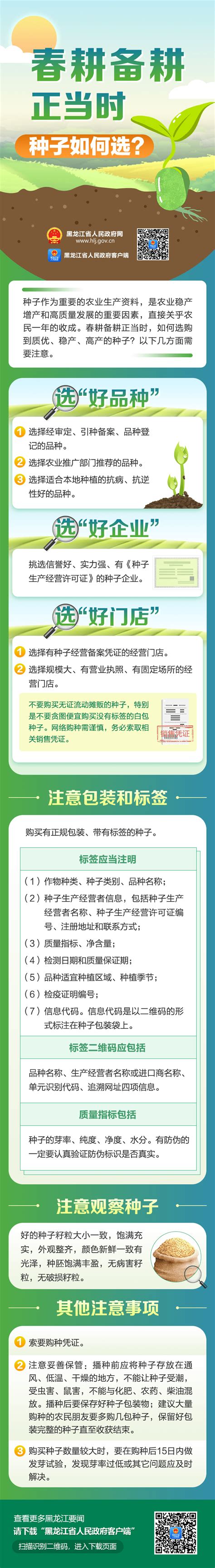 春耕备耕正当时，种子如何选？活动生产宋伟东