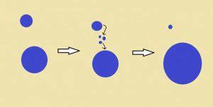 LNP BIODISTRIBUTION PART TWO Properties Of Lipids There Is Misinformation Floating Around