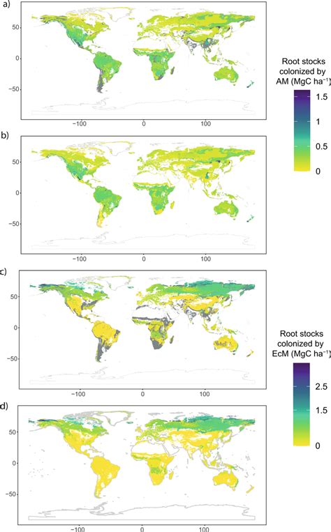 Maps Of Fine Root Biomass C Colonized By Am And Ecm Mgc Ha 1