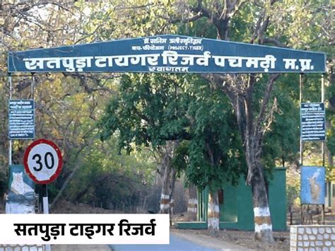 Mps Tiger Reserve Full On Holi Mp के टाइगर रिजर्व फुल कोर एरिया में