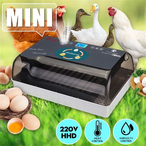 12 Eggs General Mini Automatic LED Digital Eggs Incubator Hatcher