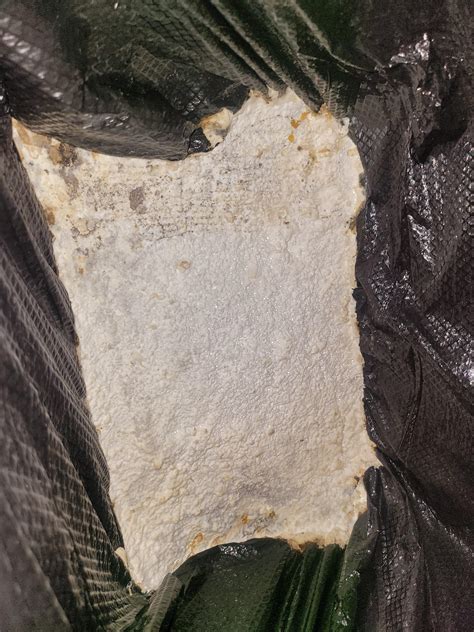 Tub Is Colonized But Im Not Getting Any Pins Rshroomers