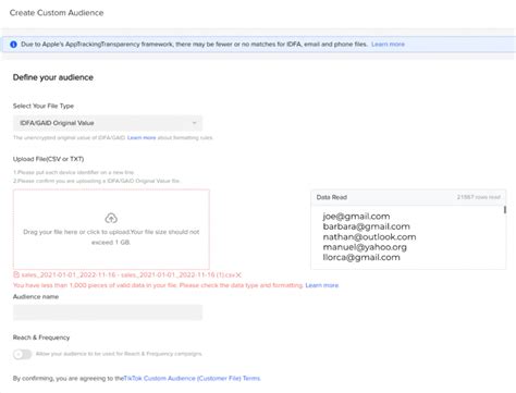 Creating A Custom Audience For Tiktok Ads