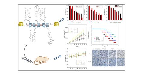Specific Modification With Tpgs And Drug Loading Of Cyclodextrin Polyrotaxanes And The Enhanced