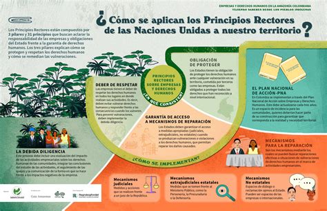¿cómo Se Aplican Los Principios Rectores De Las Naciones Unidas A