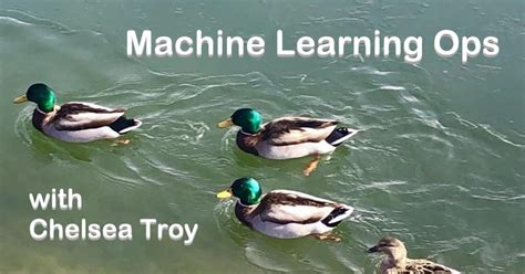 Machine Learning Ops With Chelsea Troy