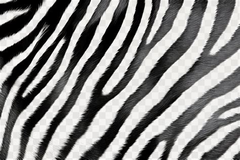 Png Elegant Zebra Pattern Texture Free Png Rawpixel