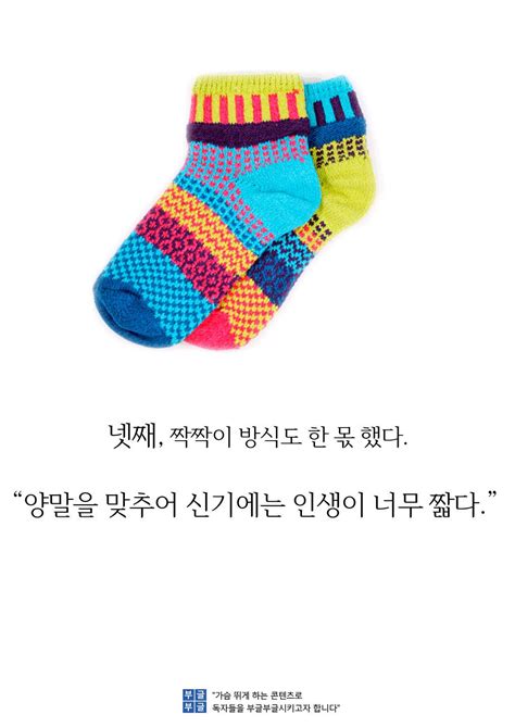 이연희 On Twitter 어느 성공한 양말 사업 짝짝이로 판매하는데 이 광고멘트 참 묘함 양말을 맞추어 신기에는