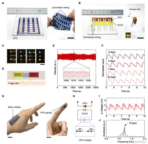 Science Advances全溶液工艺制备超柔性有机光电器件（柔性电子柔性传感可穿戴电子电子皮肤有机光电器件）all