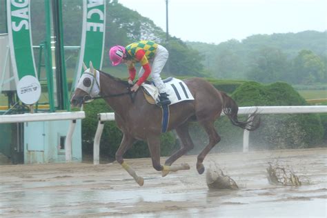 【佐賀（ナイター）遠賀川特別】7月8日 4r フェブキラナ差し切り狙う｜競馬ニュース｜競馬top｜西スポレースサイト