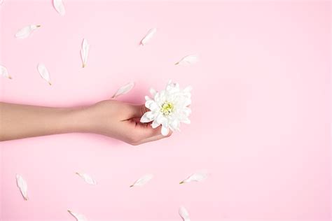 여성의 손에 손과 하얀 꽃의 창조적이고 패션 아트 스킨 케어 분홍색 배경에 흰 꽃이있는 여성의 손 주름 개선을위한 화장품 플랫