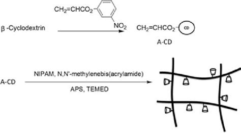 Synthesis Of Acryloyl Cyclodextrin And Hydrogel Formation Download Scientific Diagram