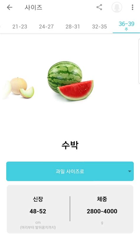[36주차] 막달검사 결과듣기 질염검사 받기 아기용품 세탁하기 네이버 블로그