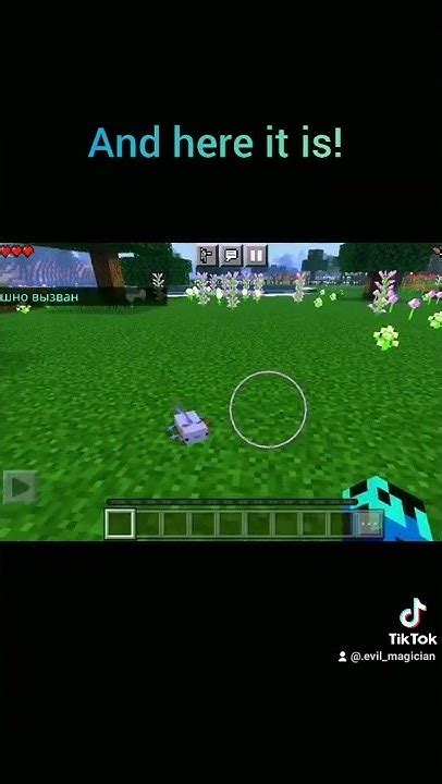 How To Get A Blue Axolotl In Minecraft With Commandsshorts Youtube