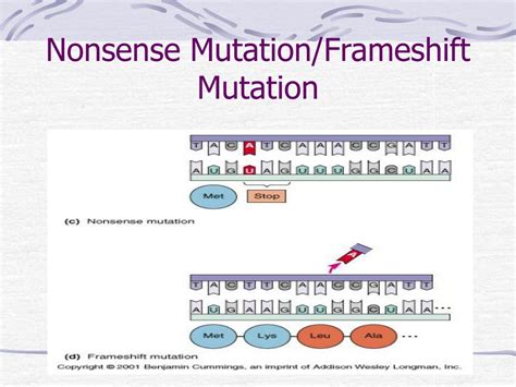 Ppt Chapter 8 Microbial Genetics Powerpoint Presentation Free