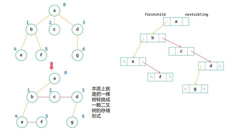 数据结构 树、二叉树、森林的转换 Amαdeus 博客园