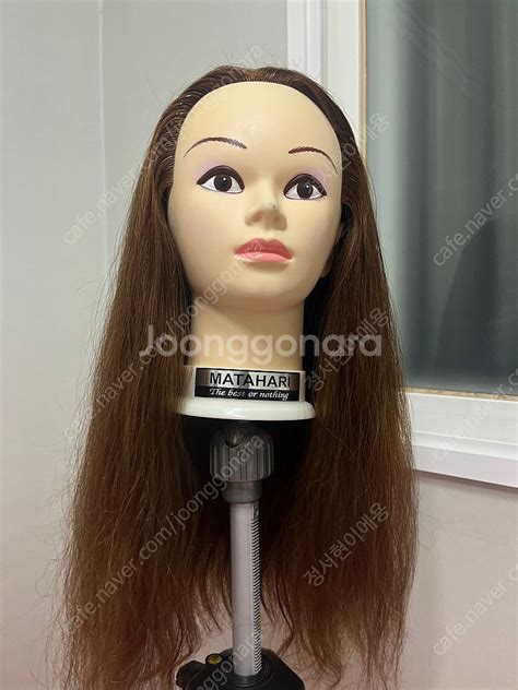 마타하리 통가발 여성의류 중고나라