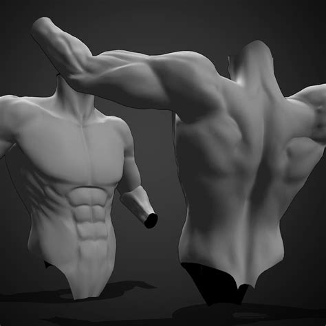 최고의 자연스러움을 가진 토르소 모델링 텀블벅 크리에이터를 위한 크라우드펀딩