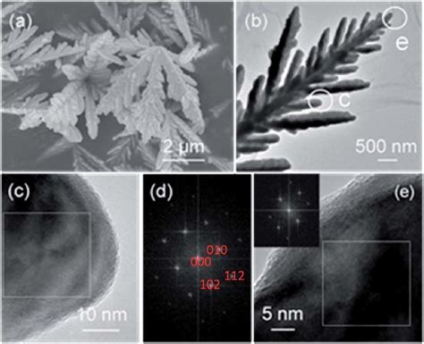 A Sem Image Of Cds Dendrites B Tem Image Of A Single Cds Dendrite
