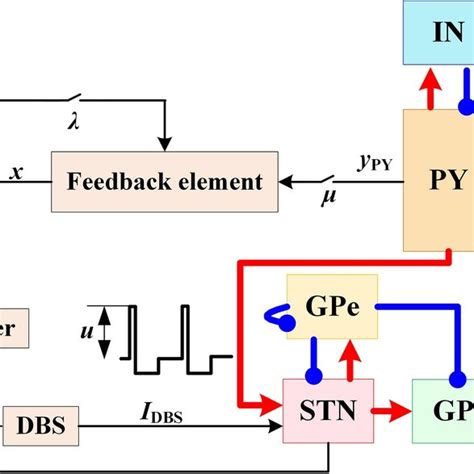 effects of the cortical feedback based closed loop control on