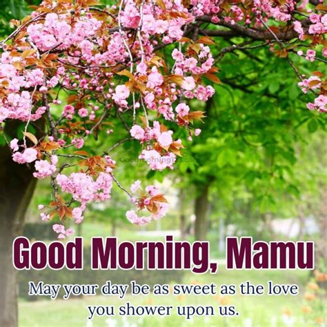 Heartfelt Greetings Good Morning Mama Ji Images Galore