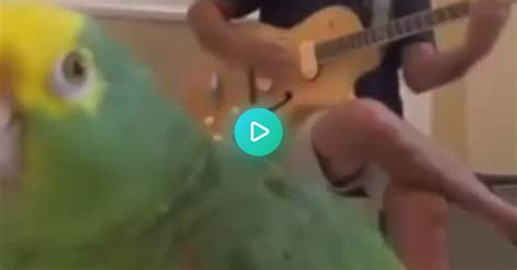 They Are Among Us Album On Imgur