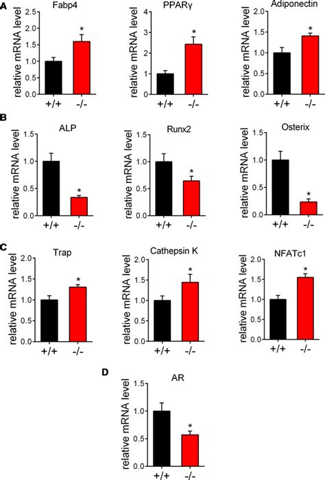 The Effect Of Cmklr1 On Osteoblastic And Osteoclastogenic Genes Mrna