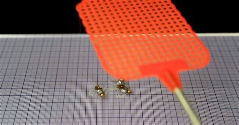 Epfl Researchers Developed Soft Robot Insects That Survived Being Flattened By A Fly Swatter And