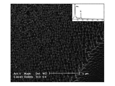 Field Emission Scanning Electron Microcopy Fesem Image Of The Highly Download Scientific