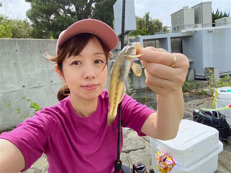 はるかへっぽこアングラー さんの 2023年09月24日のハゼの釣り・釣果情報千葉県 千葉県大網白里市近辺 アングラーズ
