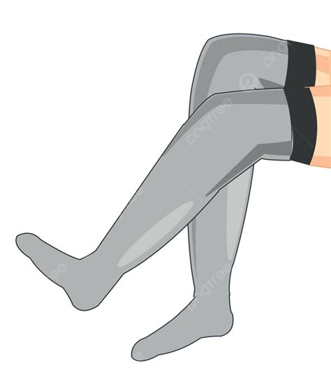 Legs In Pantyhose Mode Feminine Beautiful Vector Mode Feminine