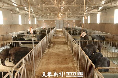 王家牌村有个致富带头人培育班 产业