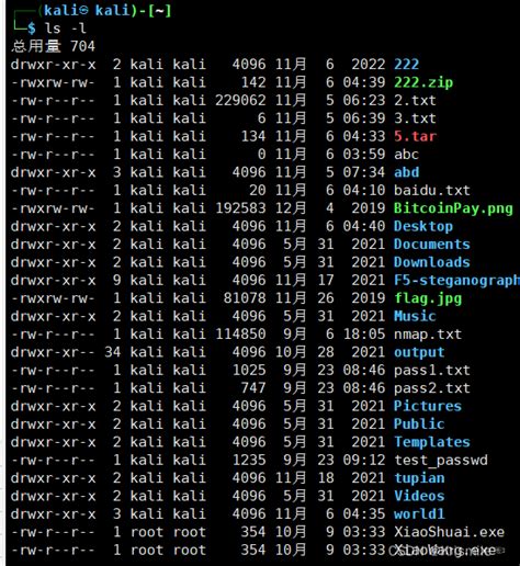 kali linux 基础命令讲解二 kali如何修改文件内容 csdn博客