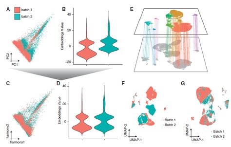 实用干货 如何开始单细胞测序数据分析 知乎