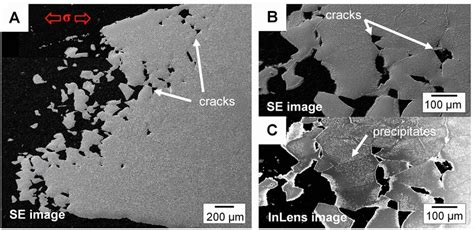 Figure S4 Microstructure And Fracture Analyses Of Tizrhfnbta Rhea