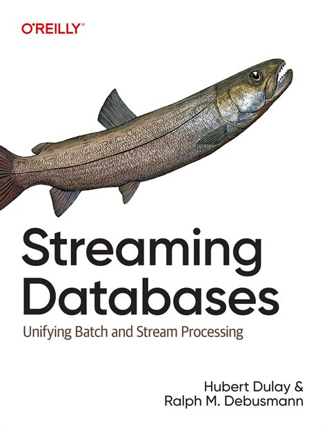 Cover Streaming Databases Book