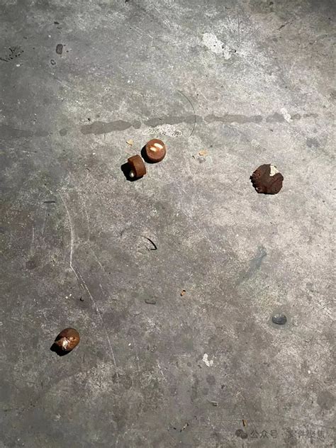 小区内数只宠物狗接连死亡？主人：疑似吃了带“馅儿”的香肠浦江头条澎湃新闻 The Paper