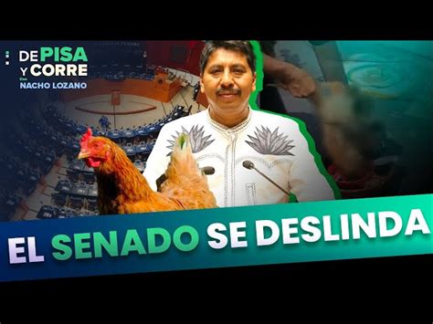 Concluye Senado polémico omiso de desacatos violó 48 veces la