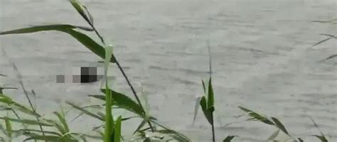 太原 迎宾桥南汾河河面惊现一具男尸 救援 尸体 指挥中心