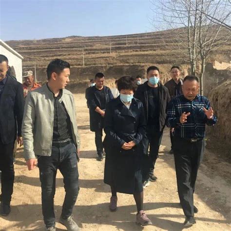 【西区动态】区政府主要领导调研指导“三乡工程”工作建设农村乡村