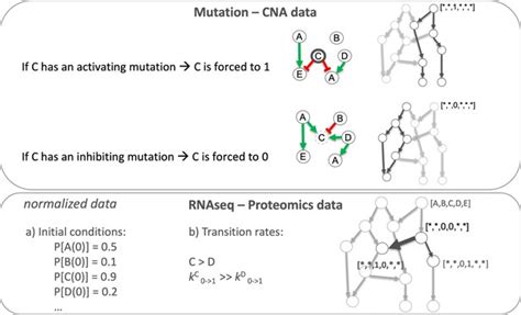 Patient Specific Boolean Models Of Signalling Networks Guide