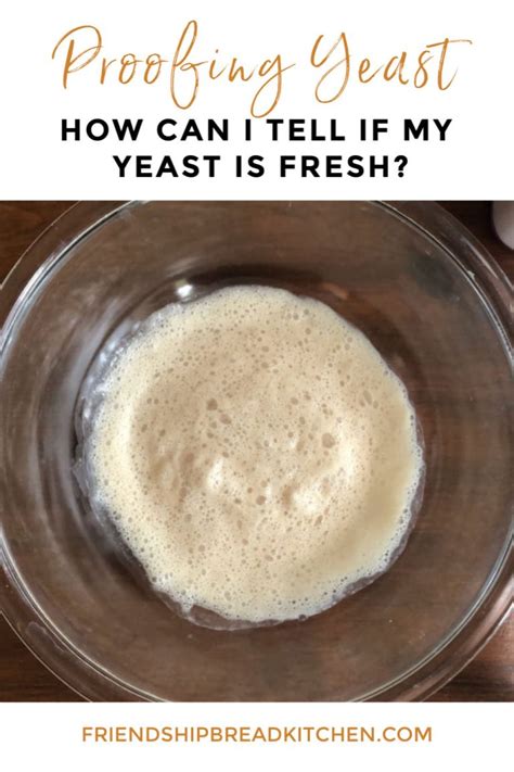 How To Proof Or Check Your Yeast Friendship Bread Kitchen