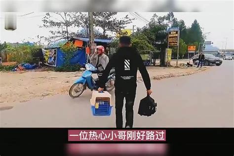 三个月大的狗狗被绑在摩托拖行命在旦夕狗男也太狠心了