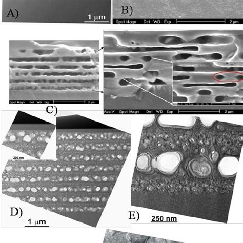 Different Reorganized Microstructures For The Multilayer Porous Silicon