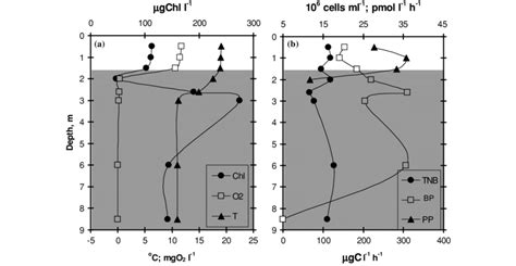 Vertical Distribution Of A Temperature T Oxygen O 2