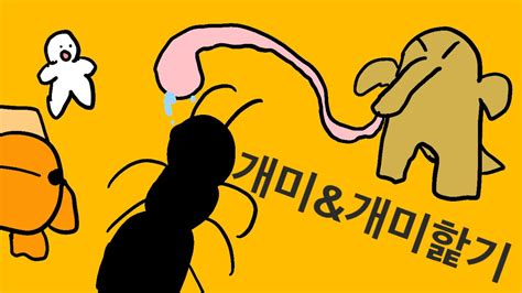 개미and개미핥기 Youtube