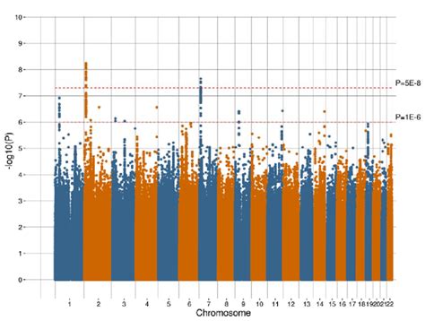 Manhattan Plot Of The Observed Log 10 P Values Of Each Variant For An Download Scientific