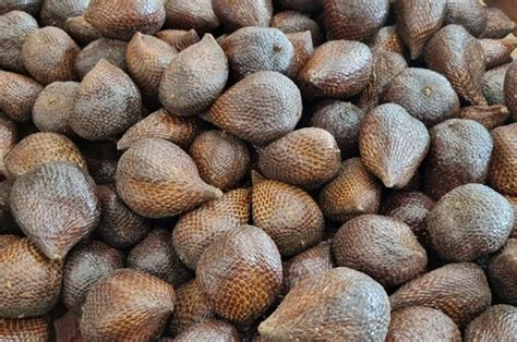 Berbagai Manfaat Biji Salak Dan Potensinya Yang Tak Terduga Grid Health