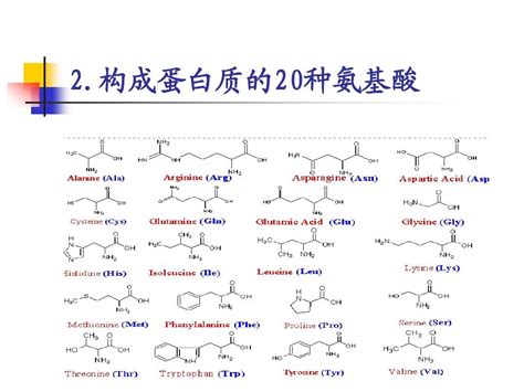 20种氨基酸分类图 千图网