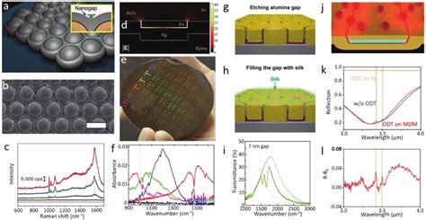 Nanogap Assisted Surface Enhanced Biosensing Applications A Schematic Download Scientific